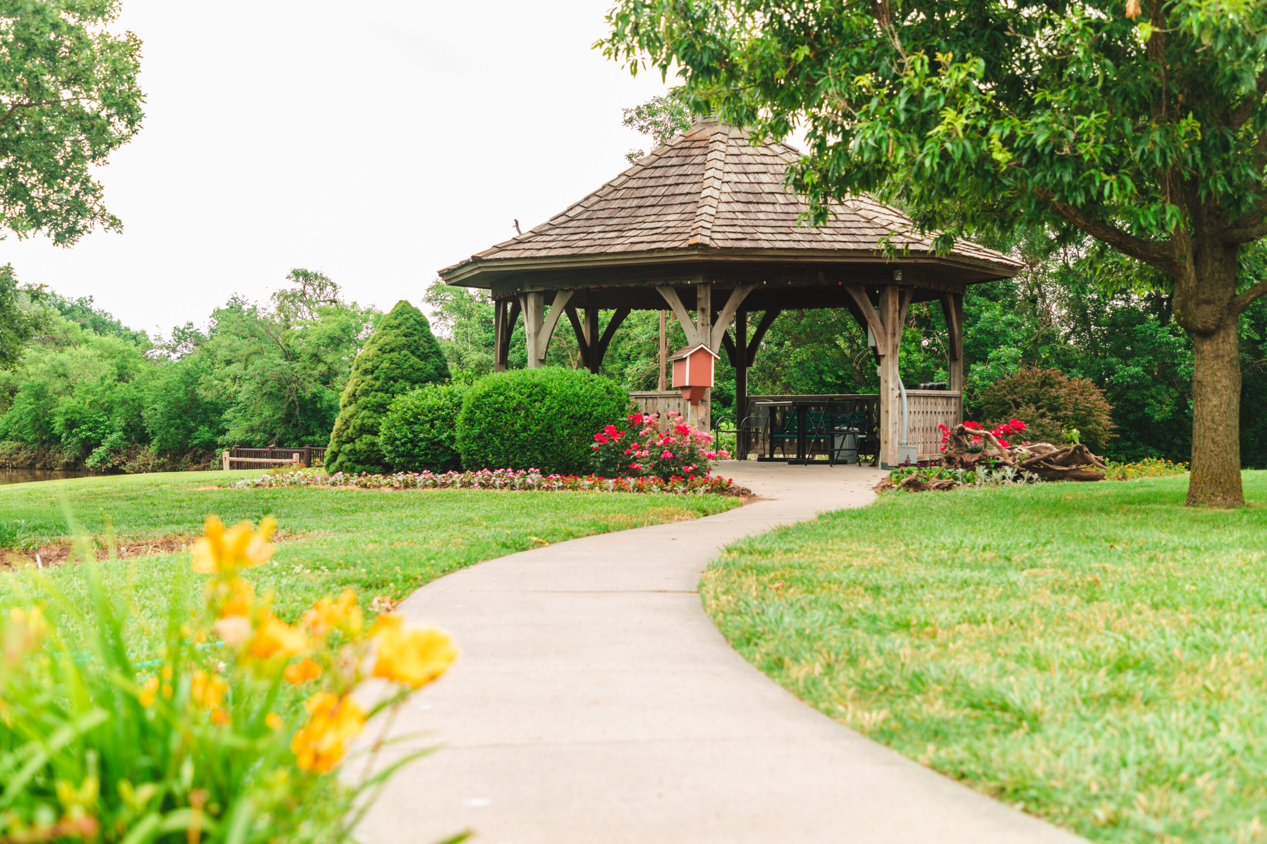 Spring into Wellness: Essential Health Tips for Seniors - The Cedars